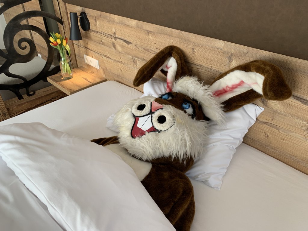 Pauschalen - Angebote & Erlebnisse - Aparthotel Rose Ellwangen